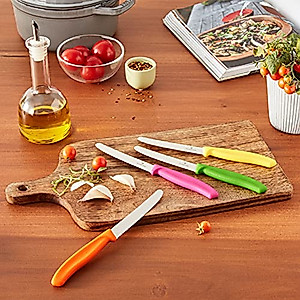 Victorinox 4.5 Inch Utility Knife Set | Razor Sharp Serrated Edge, Ergonomic Fibrox Pro Handle, Four (4) Pack, Multi Colored