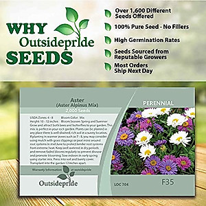 Outsidepride Perennial Aster Alpinus Mix Garden Flowers for Rock Gardens & Container Plants - 2000 Seeds
