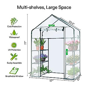 VIVOSUN Transparent 57 x 29 x 77-Inch Mini Walk-in Green House with Windows and Anchors, Plant Garden Hot House