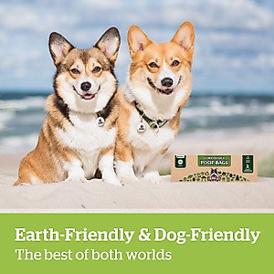 Pogi’s Compostable Dog Poop Bags - 140 Plant-based Grab & Go Dog Waste Bags - Leak-Proof, Extra-Large, ASTM D6400, EN 13432 Certified Poop Bags for Dogs