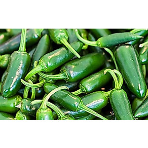 30+ Mucho Nacho Jalapeno Hot Pepper Seeds Heirloom Non-GMO, Capsicum annuum, Spicy, Super Delicious and Fragrant! from USA
