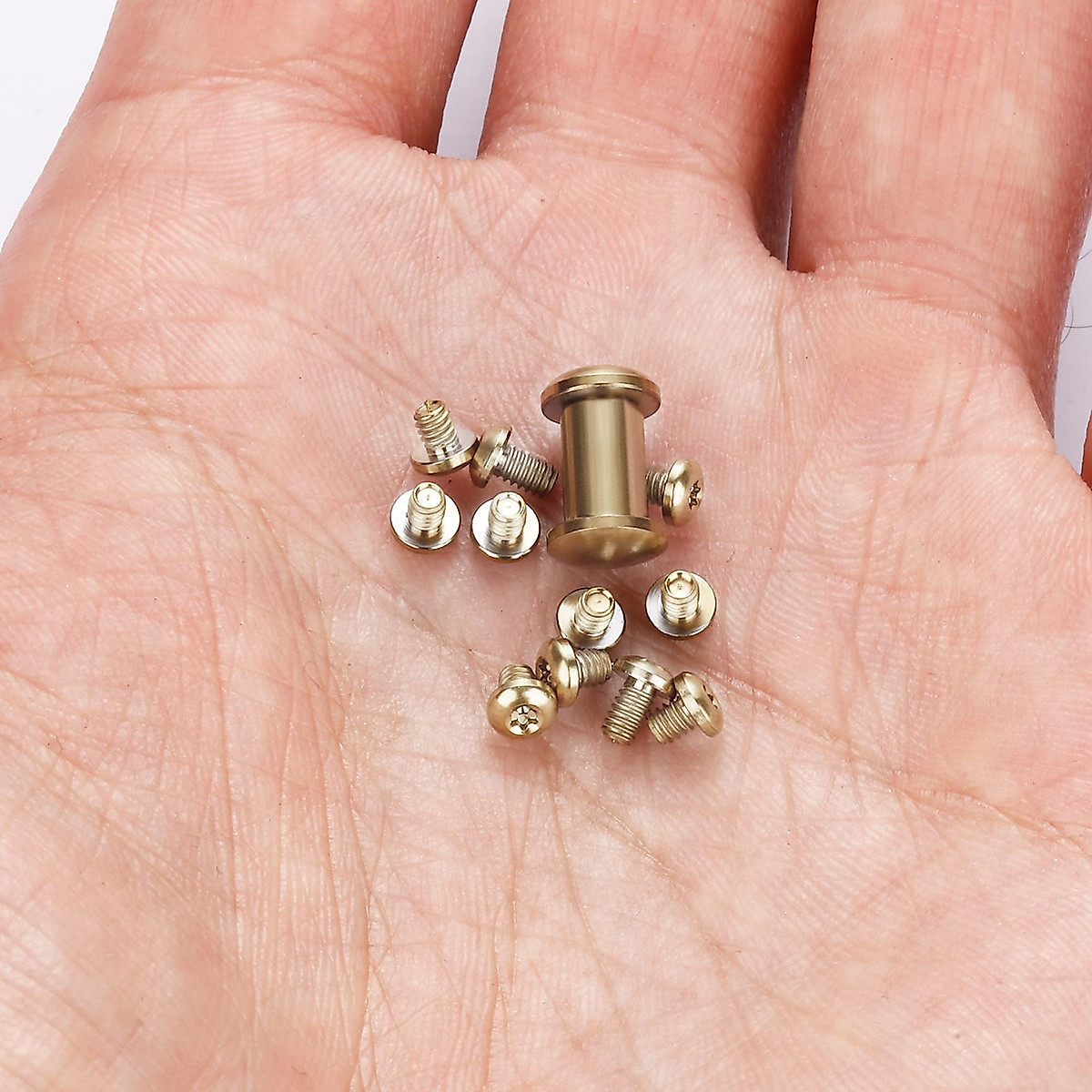 13-Piece Titanium Screw for Benchmade 535 Bugout, Mini Bugout 533 and Bailout 537, Complete Hardware Set Includes Pivot, Handle and Pocket Clip Screws, Gold