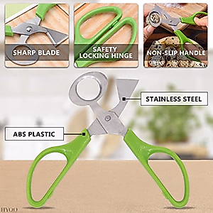 2Pcs Stainless Steel Quail Egg Scissors - Egg Slicer Pigeon Clipper Shell Separator Quail Egg Peeler Kitchen Scissor Egg Cracker - Scissor Cooking Cutter Quail Egg Cutter - Kitchen Shear for Salad