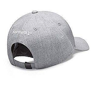 Formula 1 Tech Collection F1 Logo unisex-adult Hat Gray