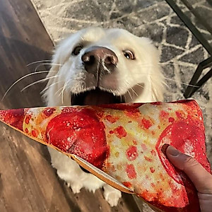 Doggijuana | Refillable Catnip Dog Toy | Naturally Calming | Catnip Grown in The USA (Pizza)