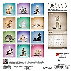 Yoga Cats 2020 Calendar