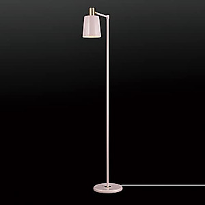 Globe Electric 67502 Lex 60" Floor Lamp, Rose, Gold Accents, in-Line On-Off Foot Switch, Pink