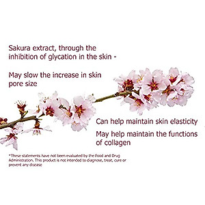 Dr. Ohhira's Premium Collagen Plus. A Liquid, Easily mixable Collagen Supplement with 7,750 mg of Marine Collagen Peptides, plus Cherry Blossom Extract and a Plant-based Probiotic Concentrate, Single