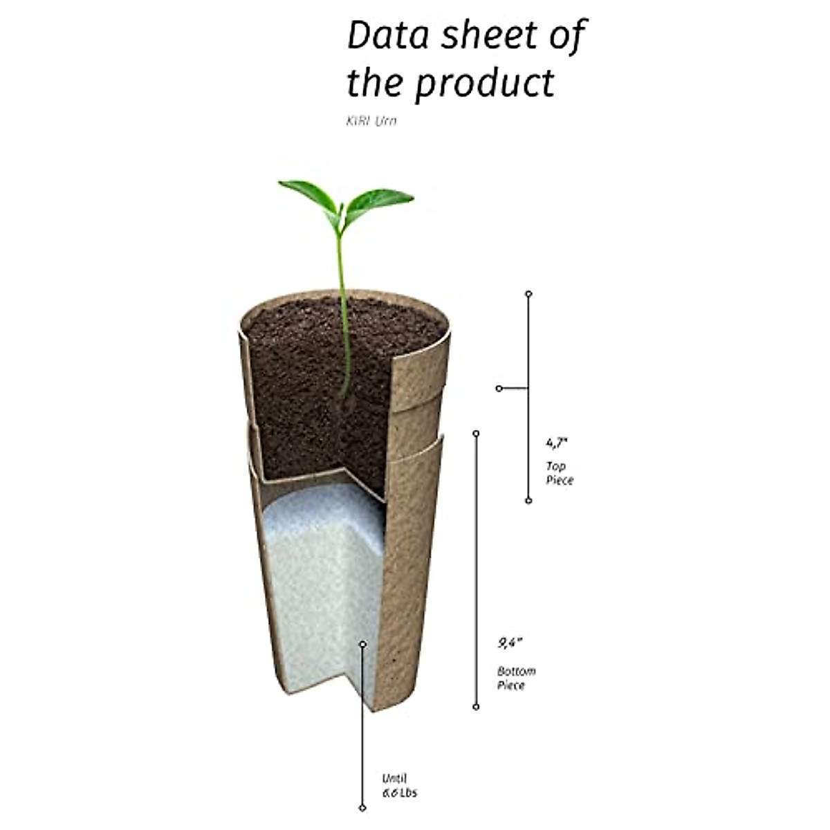 KIRI Biodegradable Tree Urn for Cremated Ashes - Eco Burial Urn. Grow a Living Memory Tree from The Ashes. Tree Seed (Apple Tree)
