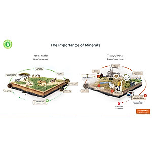 DR. DOBIAS GreenMin for Dogs - All Natural Mineral and Amino-Acid Rich superfood, up to 5 Months Supply