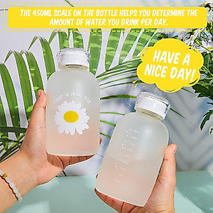 2 Pcs 480 ml 16.9 oz Glass Water Bottles with Scale Portable Water Milk Juice Cup with 4 Lids and 2 Straws Clear Daisy Flower Matte Cute Bottles Creative Cup for Christmas Gifts Women Girls Kids