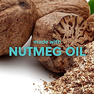 Tree Hut Pumpkin Spice Latte | Cleanse & Soothe Skin Without Stripping Moisture | Made with our Hydrating Oil Complex | Limited Edition Fall | 18 fl oz.