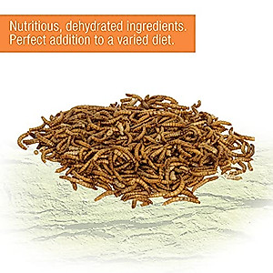 Zilla Reptile Munchies Mealworm .5 Ounces