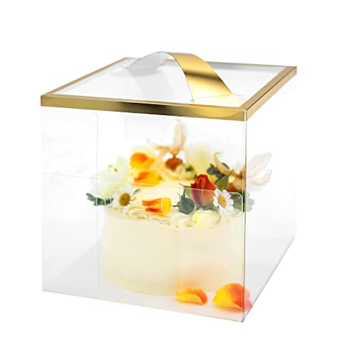 Zealax Cake Boxes with Cake Boards 6 Inch, 10pcs Clear Cake Box Storage Container Plastic Bakery Boxes for Packaging Small Cake Dount Chocolate, Gift Box for Wedding Party Graduation