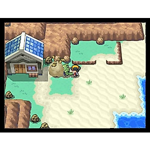 Pokemon HeartGold Version