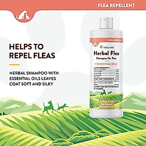 NaturVet Herbal Flea Pet Shampoo with Essential Oils – Helps Against Fleas, Insects – Deodorizing Dog Shampoo – Includes Rosemary, Cedarwood, Geranium, White Thyme Oils – 16 Oz.