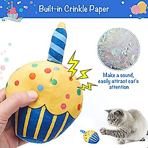 BINGPET Catnip Toys for Indoor Cats, Cat Birthday Hat and Interactive Plush Kitten Chew Toys - Cute Cake, Fish, Balloon Toys with Crinkle Paper and Catnip Inside