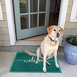 AAZZKANG Green Door Mat Outdoor Welcome Mat with Non Slip Rubber Backing Easy to Clean Entry Doormat for Indoor High Traffic Areas Front Door