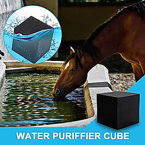 Banoo, Water Purifier Cube, Eco-Aquarium Filter Active Carbon ​Ultra ​Strong Filtration and Absorption ​Aquarium Filter ​Media Activated ​Charcoal Cubes ​for Ponds, Fish Tank, Water Tan, 4X4X4 Inch