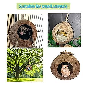 kathson Natural Coconut Shell Bird Nest,Hanging Coco Birds House,Parrots Hide Hut Habitats Decor,Parrot Cage Accessories for Lovebirds Cockatiel Canary Budgies,Feeder Spoon,4 Toy Balls(6 Pcs)