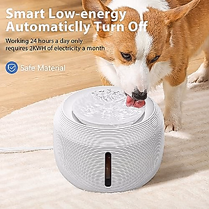 YDRQEA Cat Water Fountain, Water Fountain for Cats Inside Ultra Quiet Pet Water Fountain for Cats, 84 fl oz/2.5L Automatic Cat Drinking Fountain White, 2 Pack Filters.