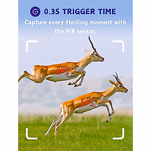 BLAZEVIDEO 2-Pack Trail Game Cameras 48MP 1296P Video No Glow Night Vision 110° Field of View Motion Activated IP66 Waterproof for Outdoor Wildlife Hunting, Animal Observation, Backyard Security