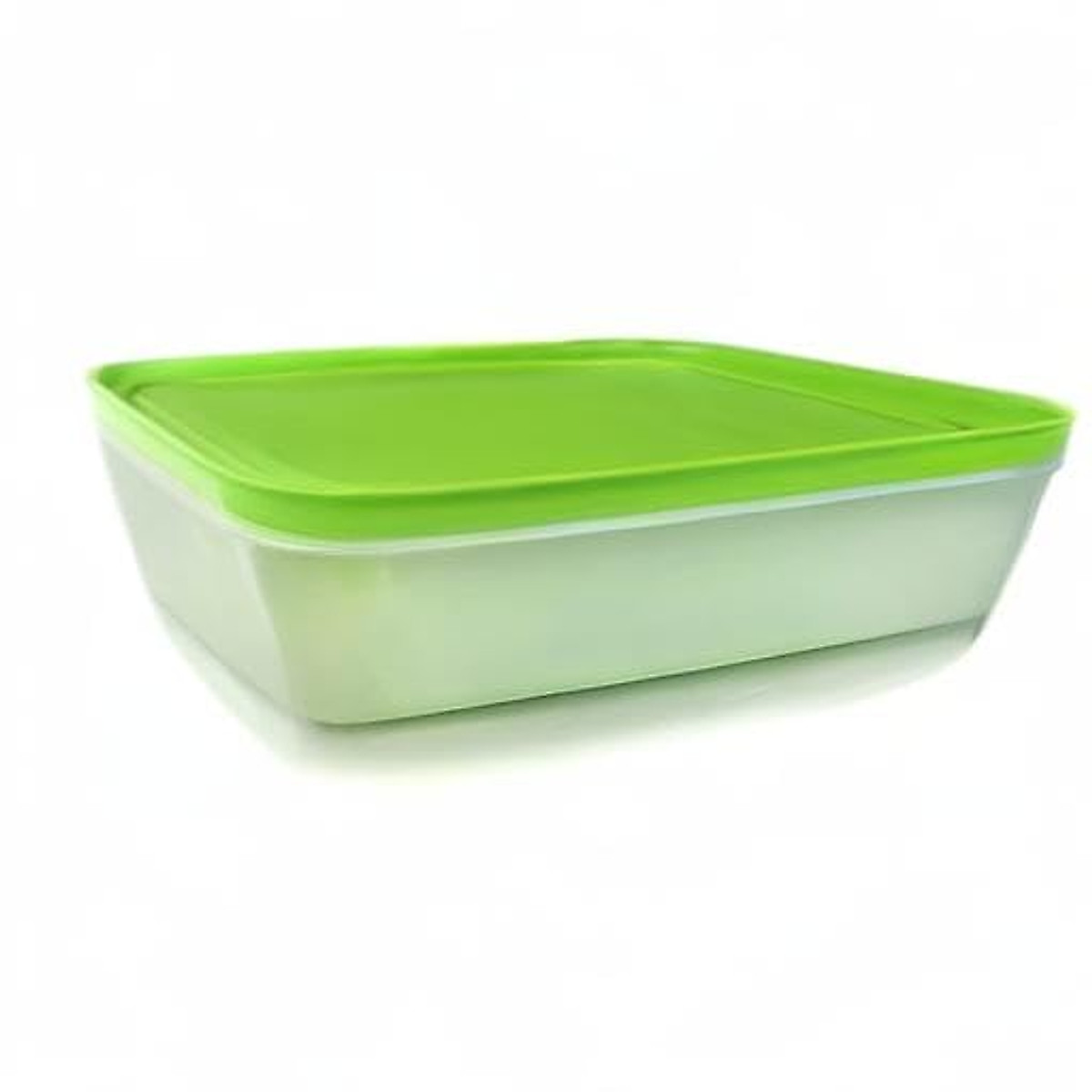 Tupperware A01 Igloo Box 1.0 L White Green 14168