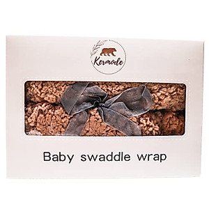 Kermode Teddy Bear Baby Swaddle Blanket - Plush Baby Swaddler for Newborns - Cute Infant Swaddle Wrap & Receiving Blanket - Perfect Gender Neutral Baby Shower & Registry Gift for Boy & Girl