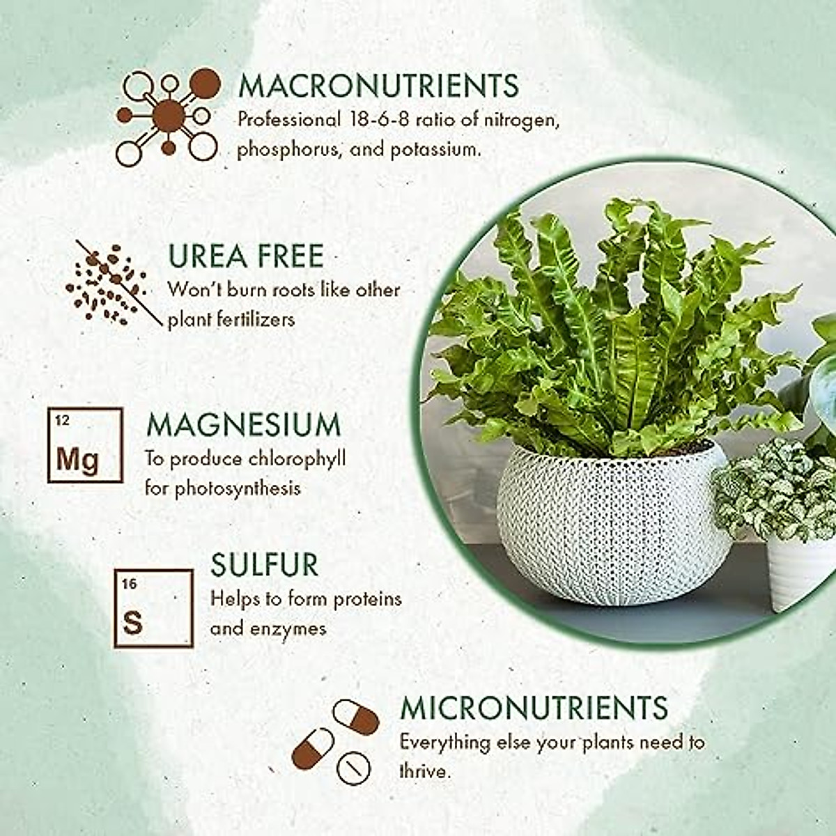 Indoor Plant Food - All-Purpose Fertilizer (Liquid Alternative) - Best for Houseplants Indoors + Common Home Outdoor Plants in Pots (5 oz)