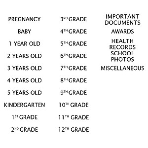 Kid's Craft Memory Keepsake Organizer Box - Clear Storage Latching Bin with Hanging File Folders and Custom Tab Inserts (Pink)