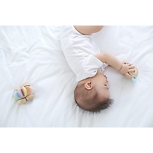 PlanToys Wooden Peek-a-Boo Roller Early Learning and Development Baby Toy (5252) | Pastel Color Collection | Sustainably Made from Rubberwood and Non-Toxic Paints and Dyes