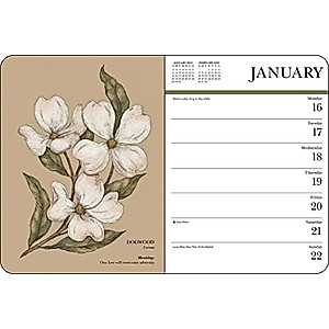Floriography 12-Month 2023 Monthly/Weekly Planner Calendar: Secret Meaning of Flowers