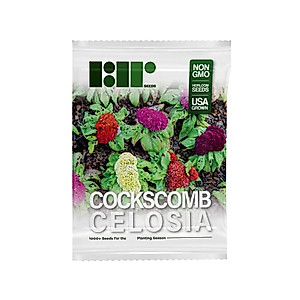 1000 Celosia Seeds for Planting - Giant Cockscomb Mix Yellow, Pink, and Red - Crested Type - Celosia Cristata