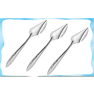 LILYS PET 4.7" Bird Parrot Stainless Steel Metal Feeding Spoon,Special Feeding Scoop Medicine Spoons Hand Feeding Spoons for Peony Cockatiel Parrot (3PCS)