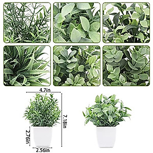 Der Rose 6 Packs Small Fake Plants Artificial Plants in Pots for Home Bathroom Bedroom Living Room Decor Indoor