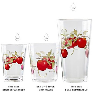 Reston Lloyd Drinkware Harvest Apple Collection by Sandy Clough Acrylic Stemless Wine Glasses, 16-Ounce, Set of 4, 16 oz, Clear