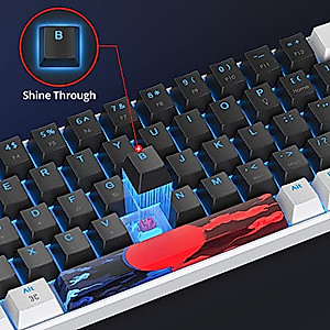Ussixchare 60 Percent Gaming Keyboard 68 Keys Mechanical Keyboard LED Backlit Compact Wired Keyboard with Red Switch for Windows MAC PS4/5 Xbox Gamer(White-Black)