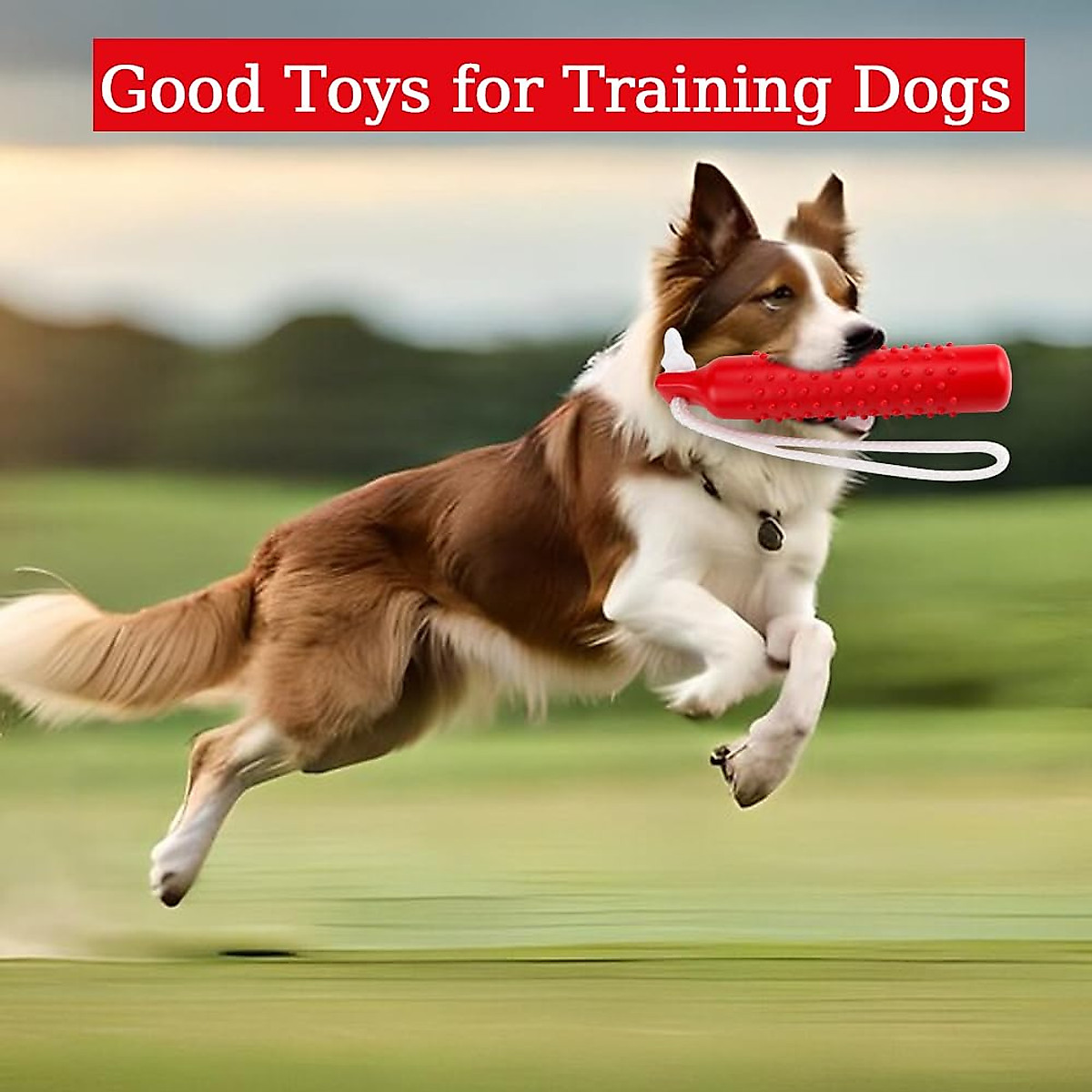 Aohcae Dog Float Toy, 100% Natural Rubber Dog Bumper with Rope - Dog Training Toys, Interactive Dog Fetch Toys Suit for Small, Medium, Large Dogs