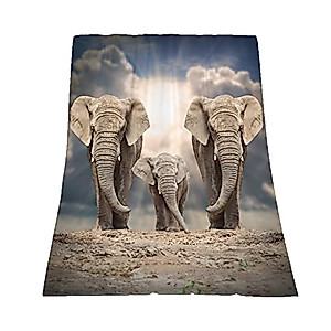 Elephant Blanket 40" x 50" African Wild Animal Family Exotic Super Soft Bedding Fleece Throw Blanket Luxury Bed Blanket Bedroom Living Room Warm Lightweight for Kids Adults