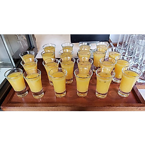 Gmark 2-Oz Shot Glass Set Heavy Base, Whiskey Shot Glasses 4-Pack, Perfect for Wine Tasting, Tequila, Shooter, Cocktail Pourer, Jigger, GM2026A