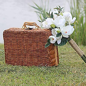 Jerome Picnic Basket,Woven Wicker Vintage Suitcase Woven Basket Rattan Case Picnic Weave Laundry Basket B