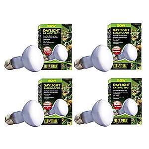 Exo Terra Sun-Glo Basking Spot Lamp, 50-Watt/120-Volt (4 Pack)