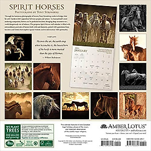 Spirit Horses 2021 Calendar