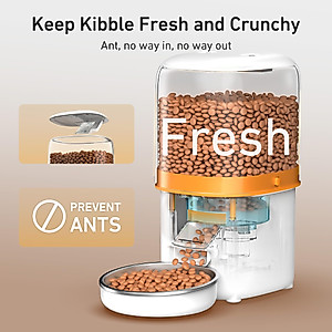 2025 Upgraded Automatic Cat Feeder - 4L Timed Auto Pet Feeder for Cat and Dog with Dry Food Dispenser, 180-day Battery Life, 1-6 Meals Per Day, 1-16 Portion, Desiccant Bag Keeps Food Fresh