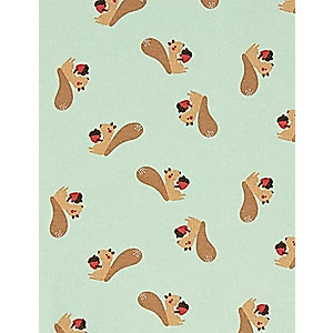 Amazon Essentials Unisex Kids' Swaddle Blankets, Pack of 3, Fruit/Squirrel/Stripe, One Size