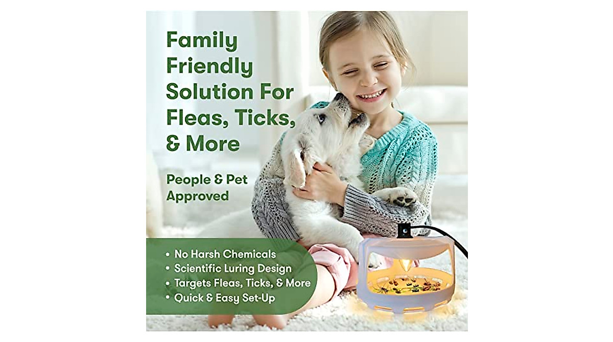 BugMD Termination Station: Effective Pest Trap & Catcher