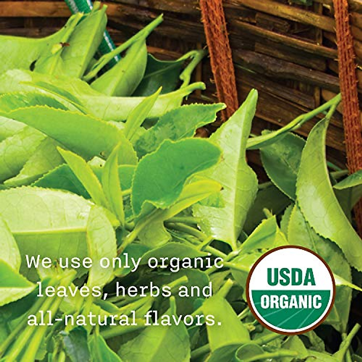 Allegro Tea Organic Earl Grey Tea Bags, 20 Count