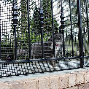 WDJBPSH Extra Long Garden Netting Fence, Multi-Purpose Backyard Lawn Safety Fencing, Large Temporary Barrier Chicken Wire Protection Yard (Color : H X L, Size : 1.2x30m/3.9ftx98.4ft)