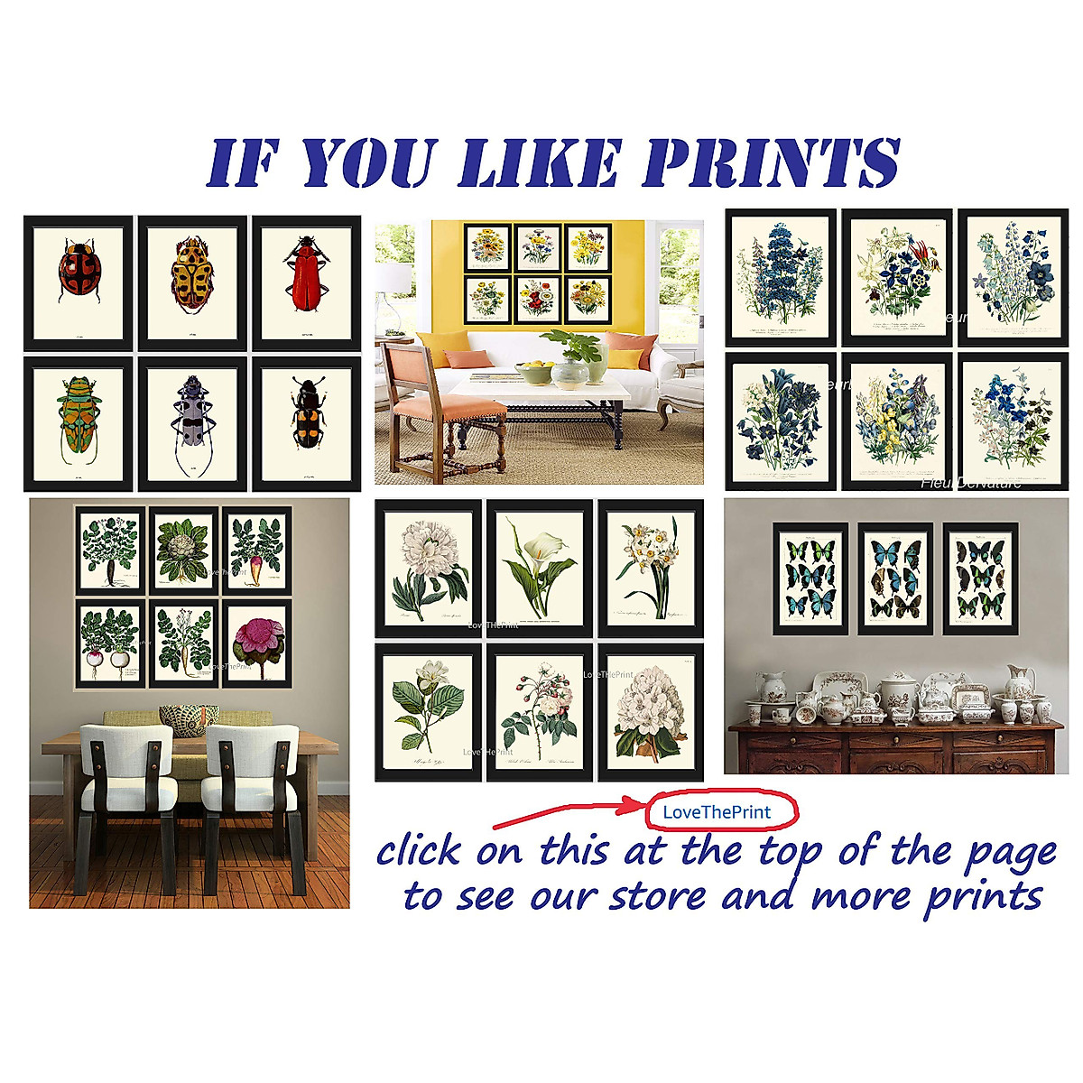 Bird Print Wall Art Set of 4 Prints Beautiful James Audubon Titmouth Fork-tailed Flycatcher Blue Bird Bluebirds Indigo Bird on Pine Tree Blooming Magnolia Flower Home Room Decor Unframed