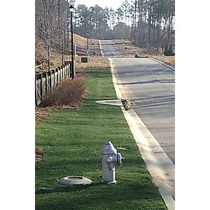 EnviroColor 4EG0032 851612002100 (1,000 Sq.Ft) 4Evergreen Grass & Turf Paint, Green